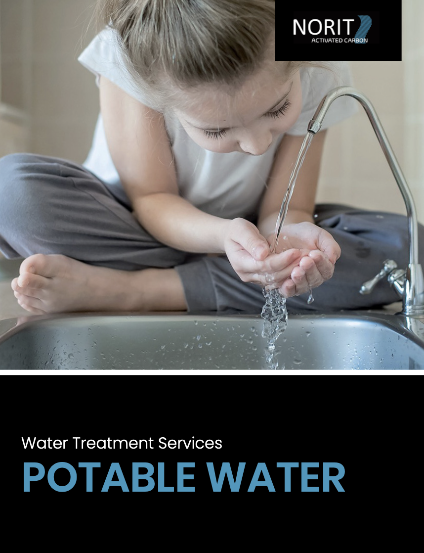 Potable (drinking) water purification by NORIT activated carbon
